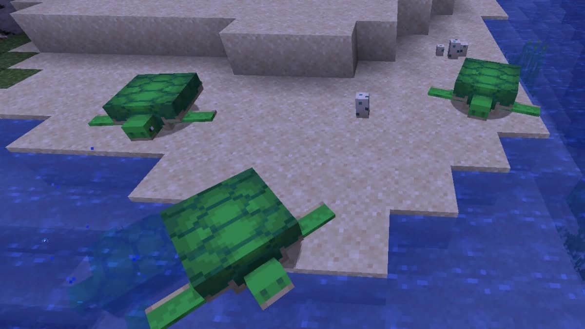 Minecraft: How to Get Turtle Shells | The Nerd Stash