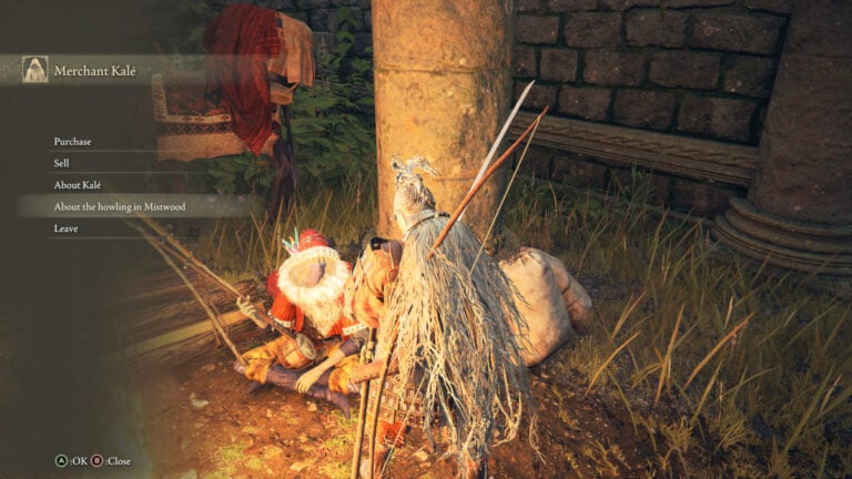 How To Complete Blaidd's Questline in Elden Ring | The Nerd Stash