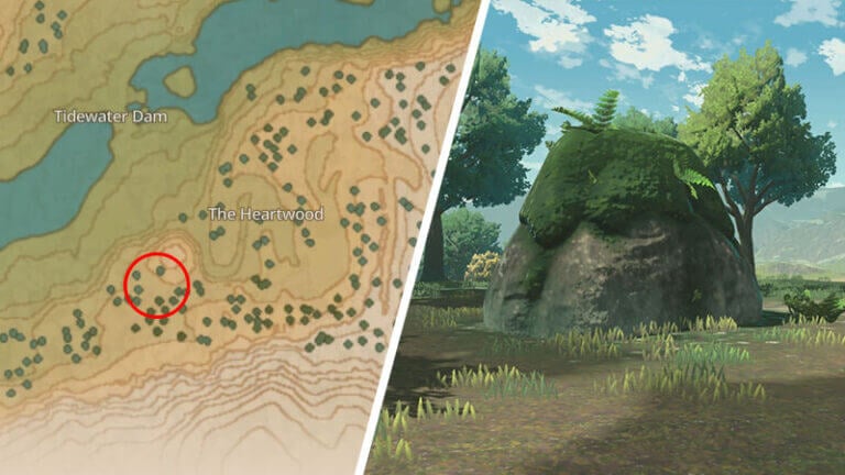 Pokemon Legends: Arceus - Obsidian Fieldlands Map Guide