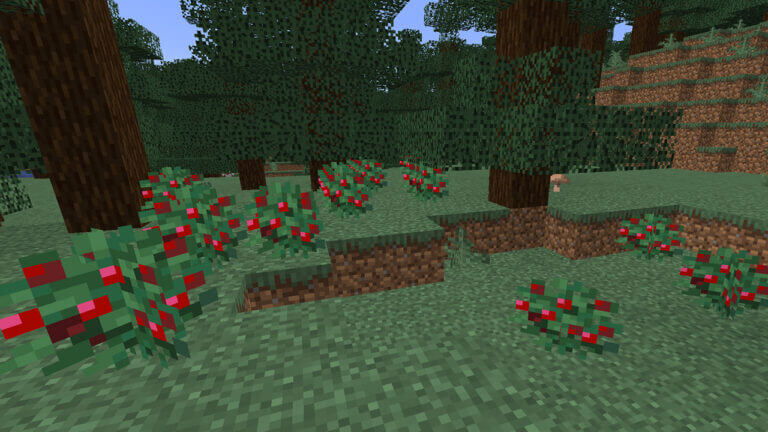 Minecraft: How to Find and Grow Sweet Berries | The Nerd Stash