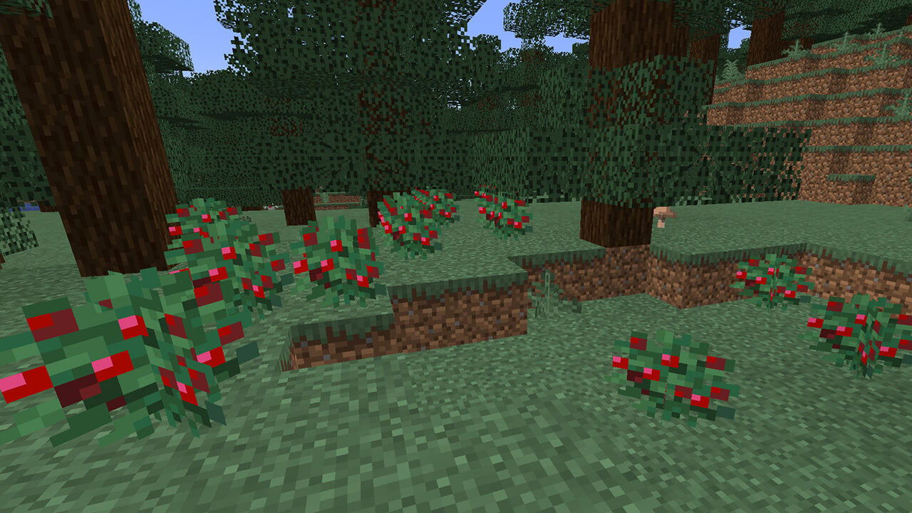 Minecraft: How to Find and Grow Sweet Berries | The Nerd Stash
