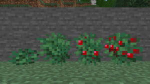 Minecraft: How to Find and Grow Sweet Berries | The Nerd Stash