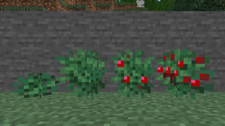 Minecraft: How to Find and Grow Sweet Berries | The Nerd Stash