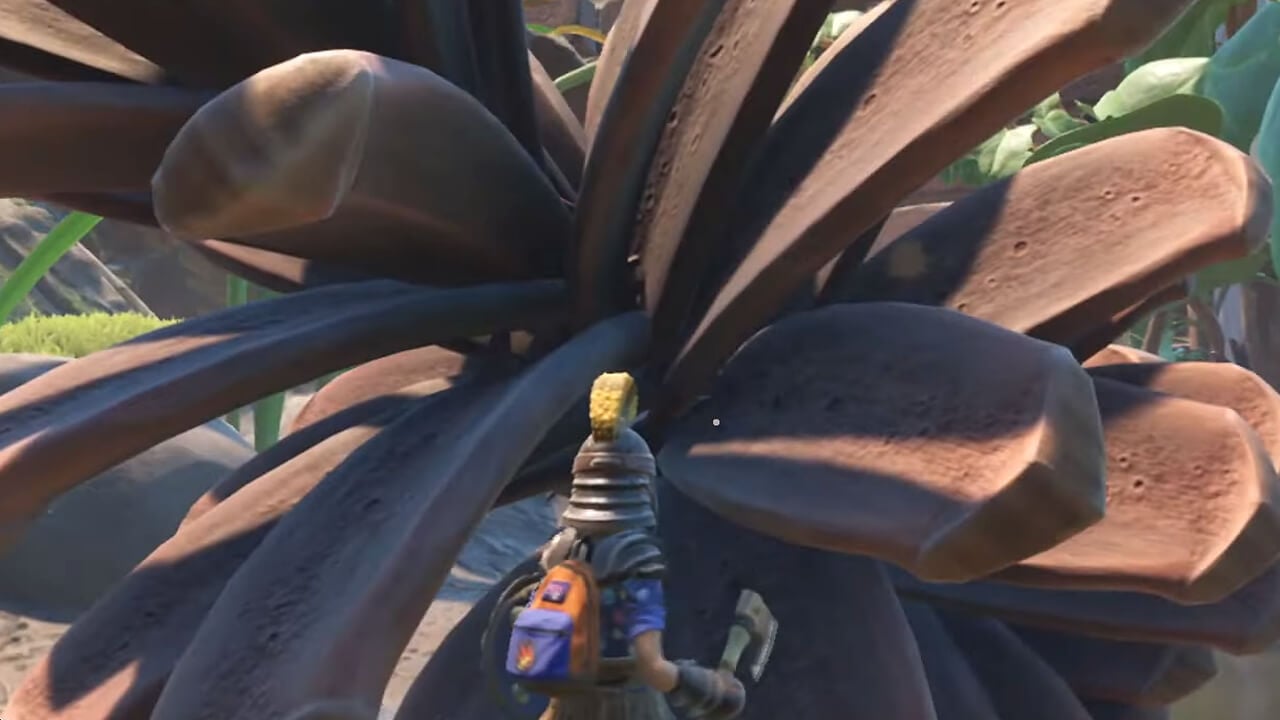 Grounded: Where to Find Pinecone Pieces | The Nerd Stash