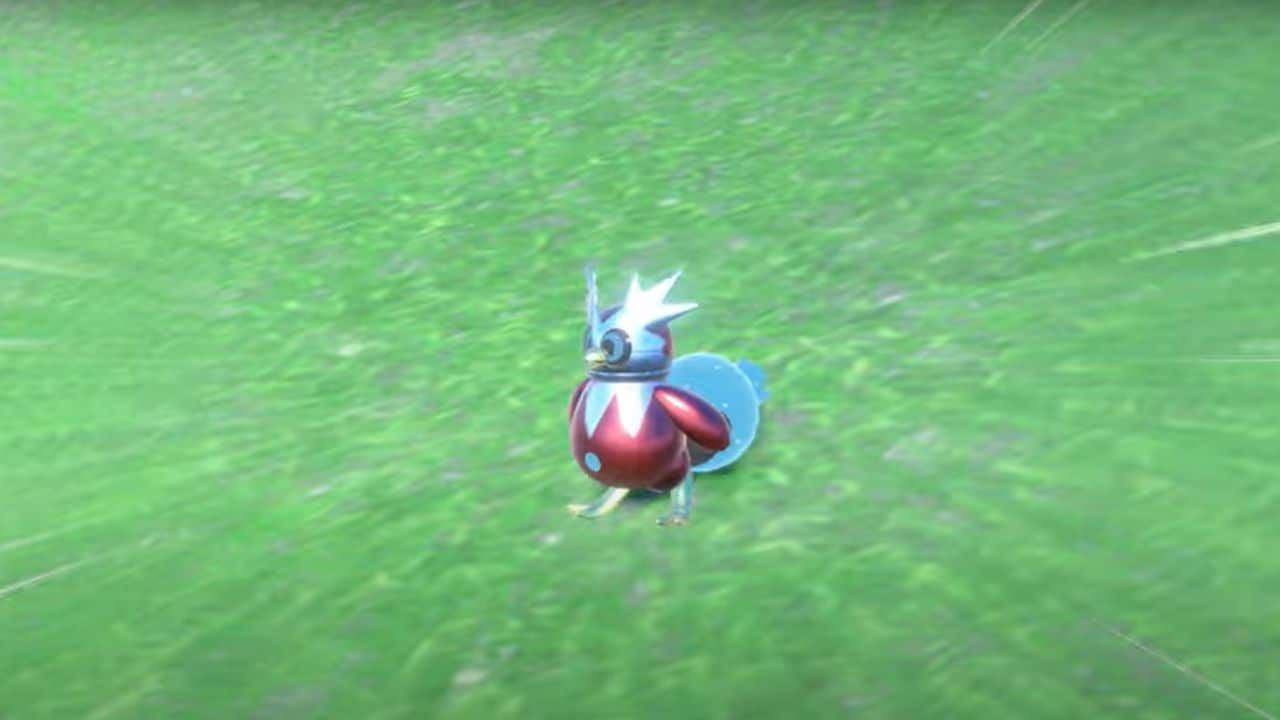 How to get Iron Bundle in Pokémon Scarlet & Violet