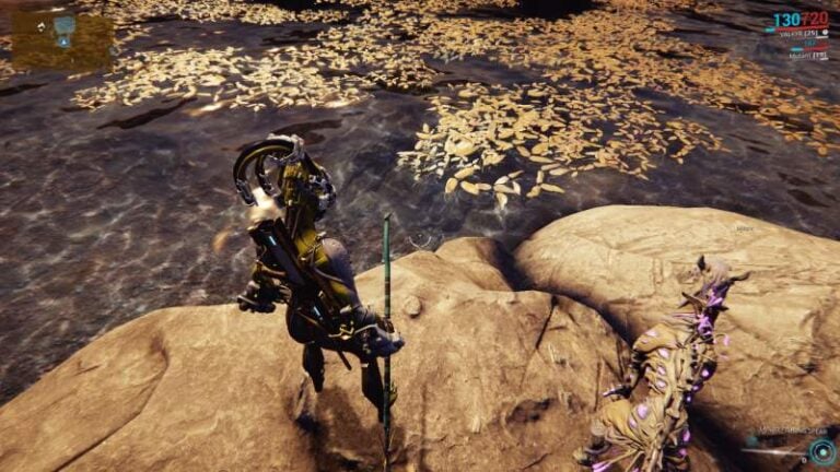 How to Catch Rare Fish on the Plains of Eidolon in Warframe