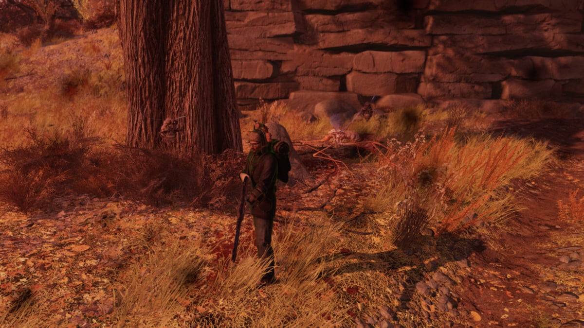 How To Find Insect Locations in Fallout 76 | The Nerd Stash