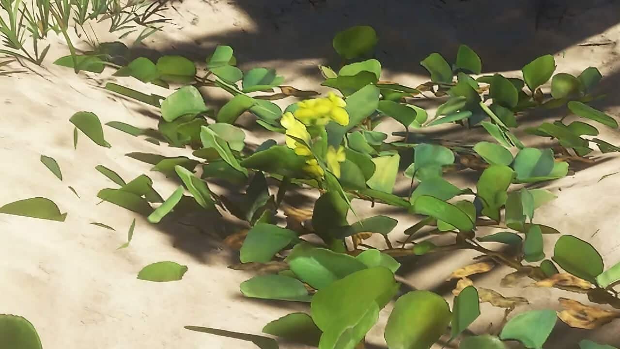 How to Find The Pipi Plant In Stranded Deep | The Nerd Stash