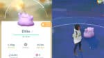 Pokemon Go: Ditto Disguises and How To Catch Them
