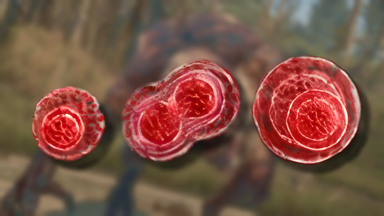 The Witcher 3: How To Get Red Mutagens | The Nerd Stash