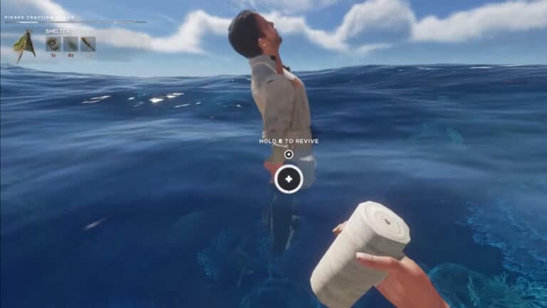 How To Revive a Teammate in Stranded Deep | The Nerd Stash