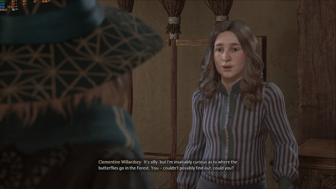 Hogwarts Legacy: How to Complete Follow The Butterflies Quest