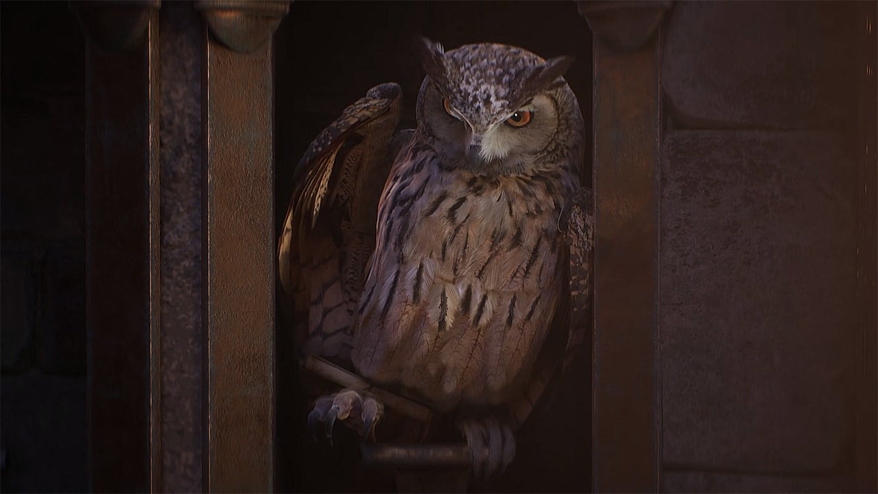 Can You Become Animagus in Hogwarts Legacy? Answered