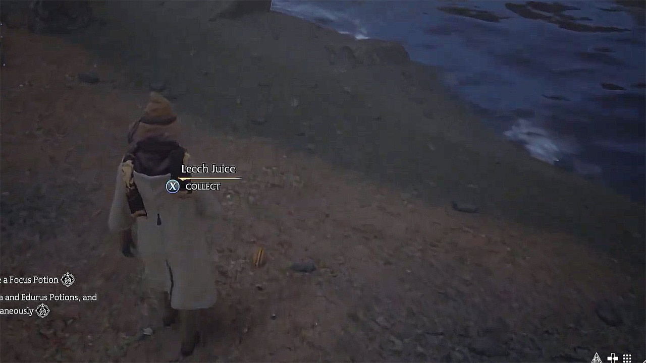 How to Get Leech Juice in Hogwarts Legacy | The Nerd Stash