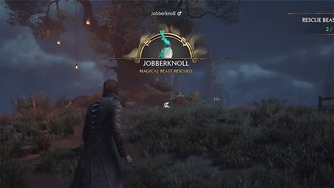 How to Get a Jobberknoll in Hogwarts Legacy | The Nerd Stash