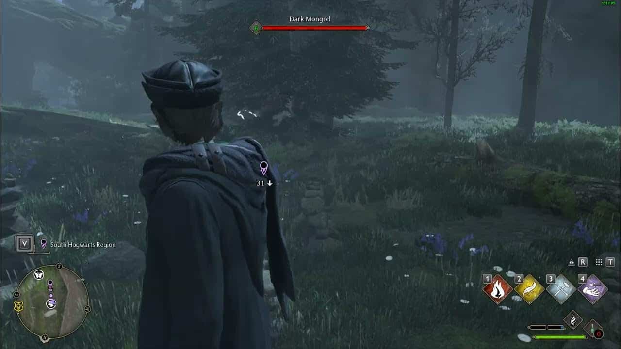 How to get Mongrel Fur in Hogwarts Legacy | The Nerd Stash