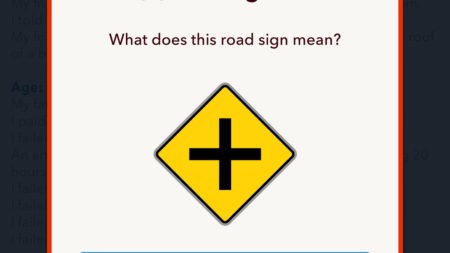 All Driving Test Answers in BitLife | The Nerd Stash