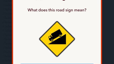 All Driving Test Answers in BitLife | The Nerd Stash