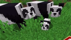 How to Breed Pandas in Minecraft | The Nerd Stash