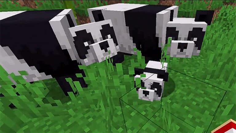 How to Breed Pandas in Minecraft | The Nerd Stash