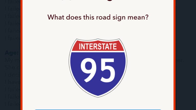 All Driving Test Answers in BitLife | The Nerd Stash