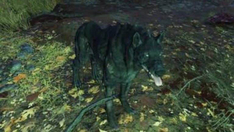 Where to Find Wolves in Fallout 76 | The Nerd Stash