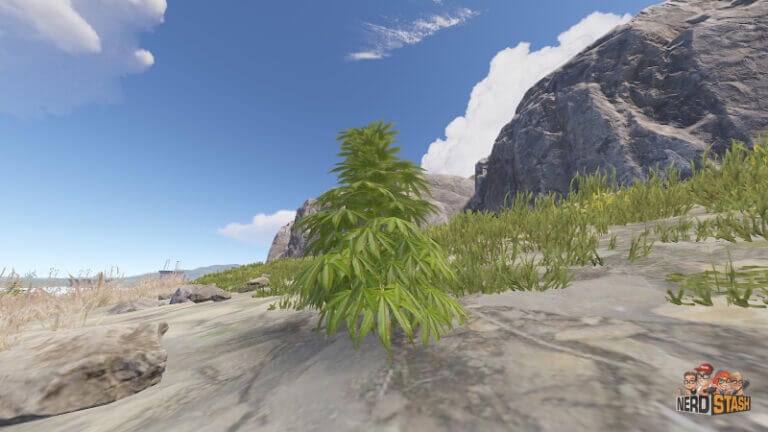 Rust: How to Get Cloth | The Nerd Stash