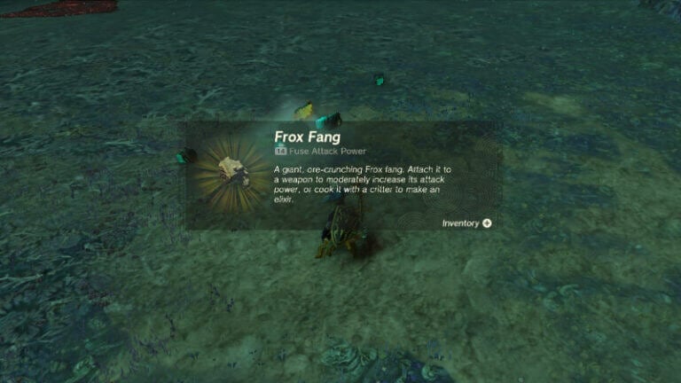 How To Get Frox Fangs in Zelda Tears of the Kingdom