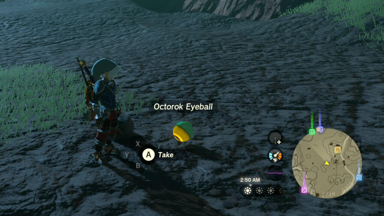 How To Get Octorok Eyeballs in Zelda Tears of the Kingdom