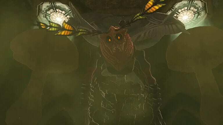 How To Complete Riju of Gerudo Town in Zelda Tears of the Kingdom