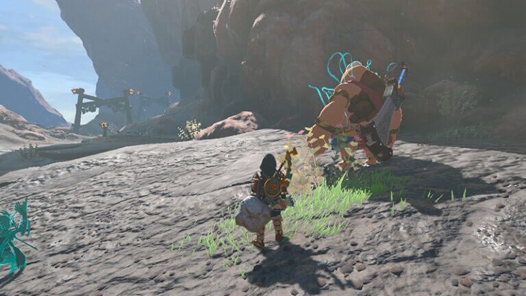 How to get Sticky Frogs in Zelda Tears of the Kingdom