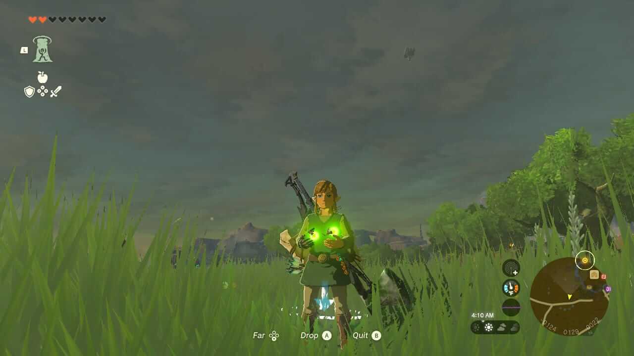 How To Get Sunset Fireflies in Zelda Tears of the Kingdom