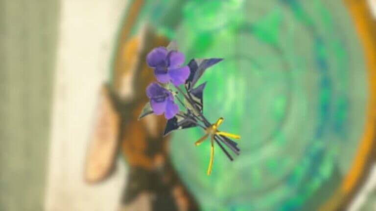 How To Get Swift Violets in Zelda Tears of the Kingdom