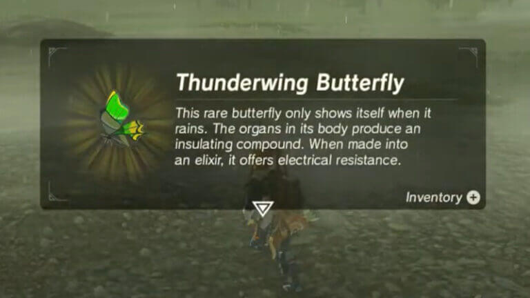 How To Get Thunderwing Butterflies in Zelda Tears of the Kingdom