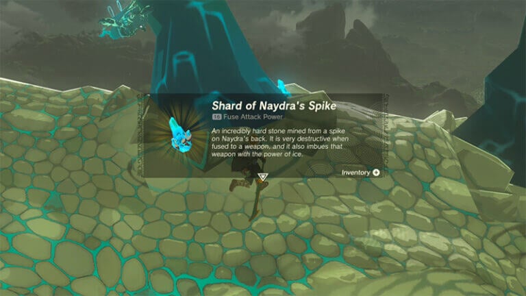 How To Get a Shard of Naydra's Spike in Zelda Tears of the Kingdom