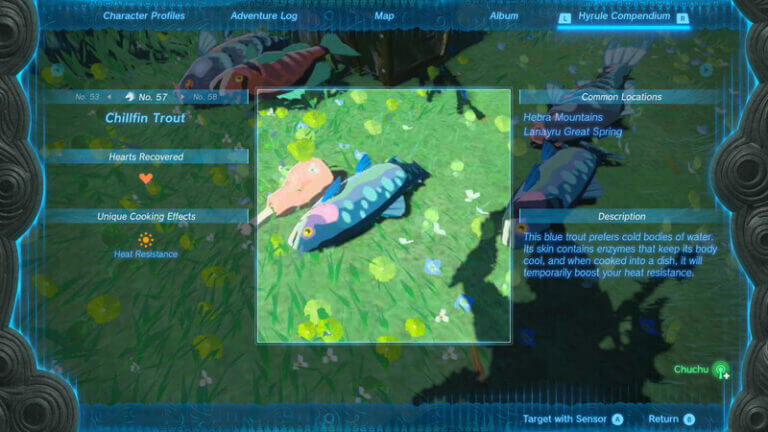 How To Get Chillfin Trout in Zelda Tears of the Kingdom