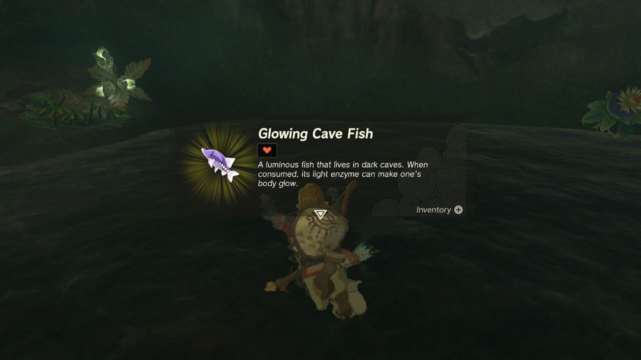 How To Get Glowing Cave Fish in Zelda Tears of the Kingdom