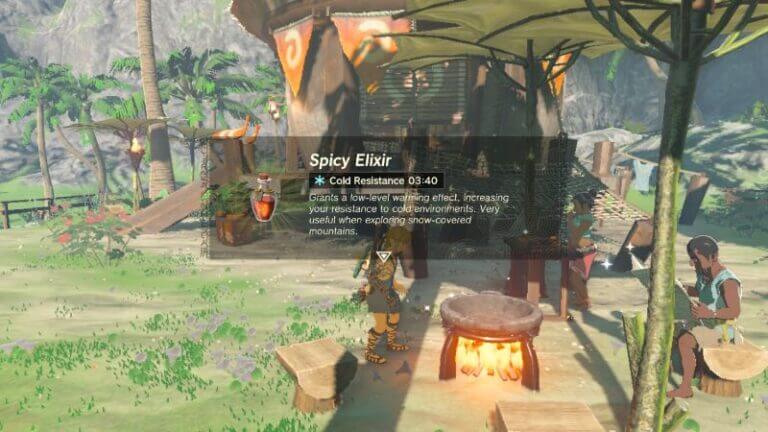 How to Make the 10 Best Elixirs in Zelda Tears of the Kingdom