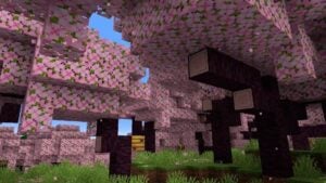 How To Get (& Use) Pink Petals in Minecraft | The Nerd Stash
