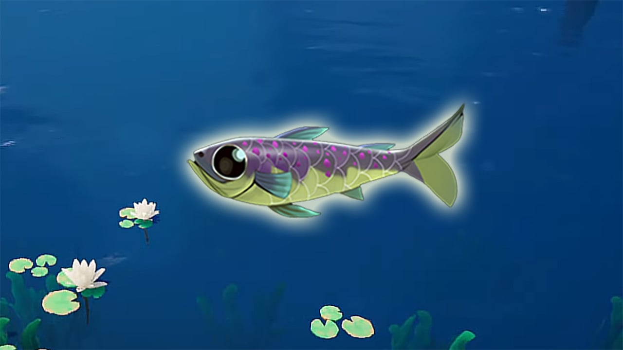 Palia: How To Find and Catch Enchanted Pupfish | The Nerd Stash