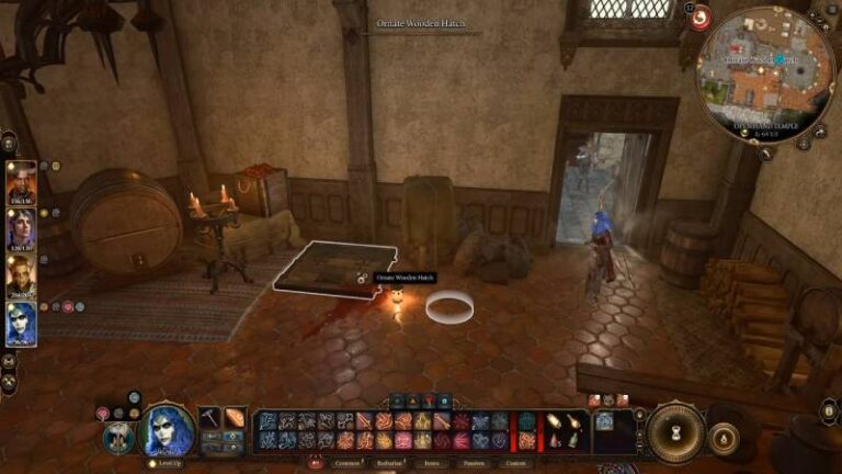 How To Complete Find the Lock To Fit the Flowery Key In BG3