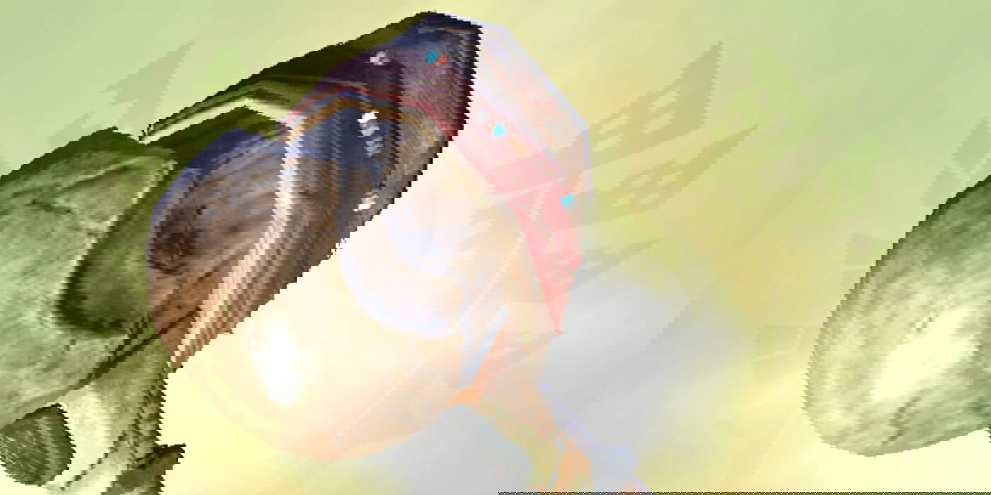 Best Hammer Builds in Monster Hunter Now | The Nerd Stash