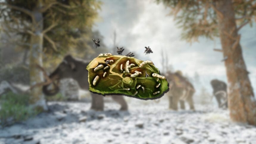 Top 15 Best Mods for Ark: Survival Ascended | The Nerd Stash