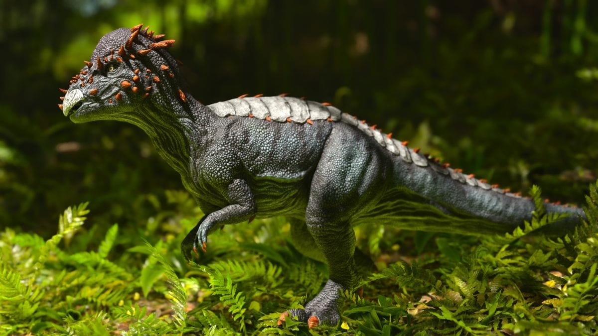 All Difficulty Settings Differences in Ark: Survival Ascended | The ...