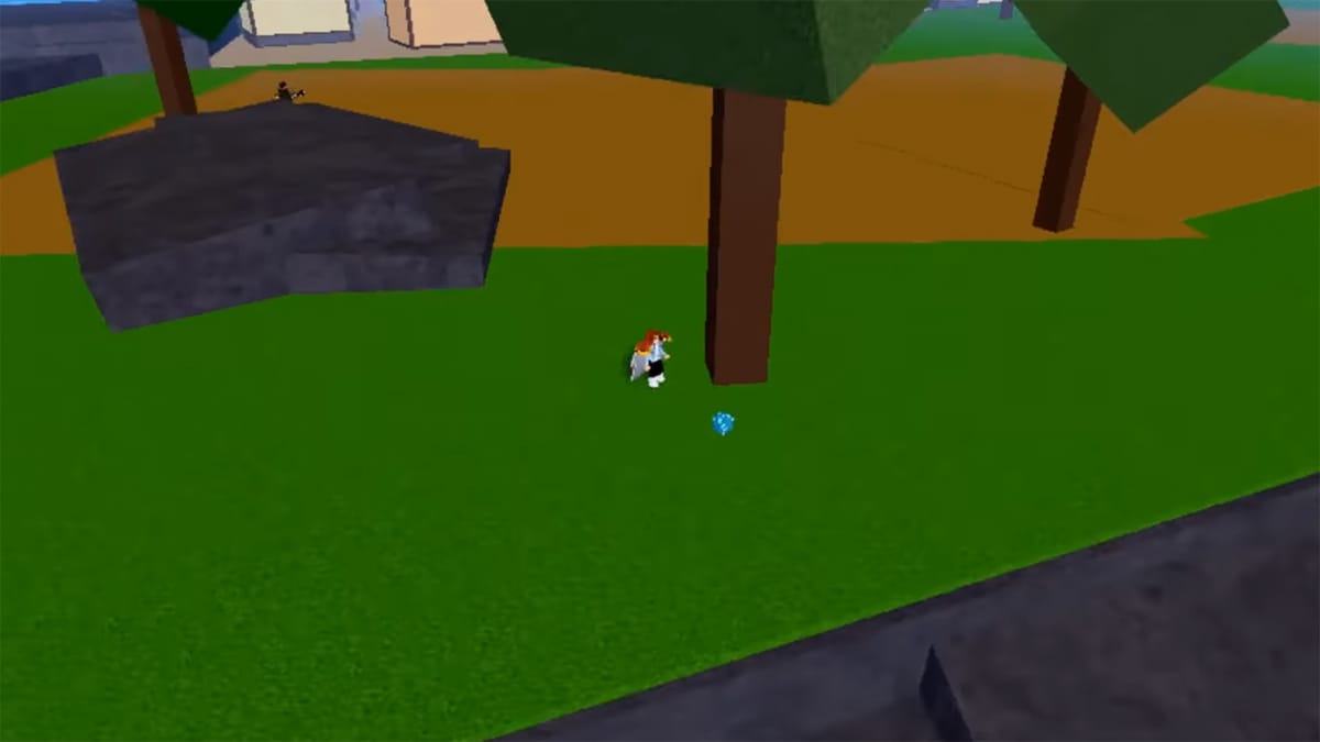 Fruit Spawn Locations in Blox Fruits First Sea | The Nerd Stash