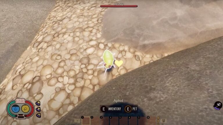 How to Tame a Pet in Grounded | The Nerd Stash