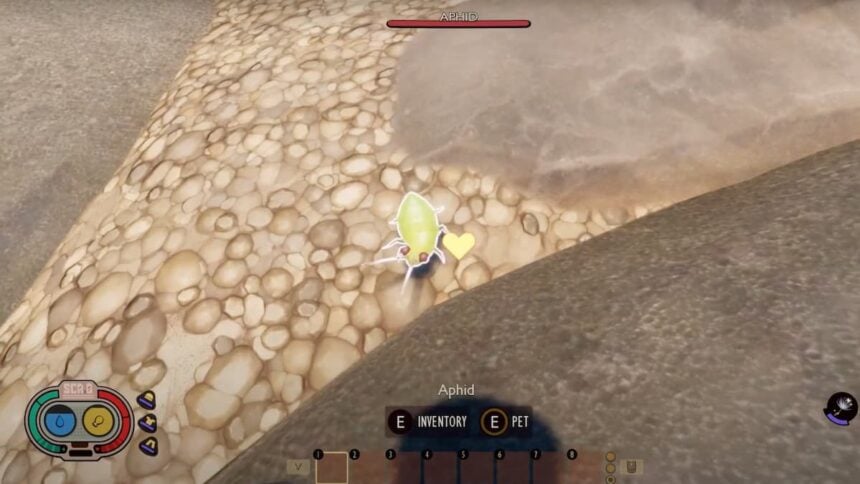 How to Tame a Pet in Grounded | The Nerd Stash