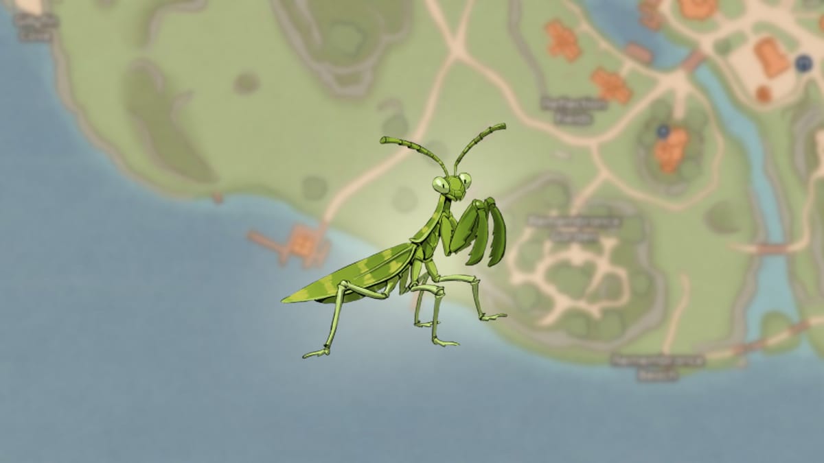 How To Find and Catch Garden Mantis in Palia | The Nerd Stash