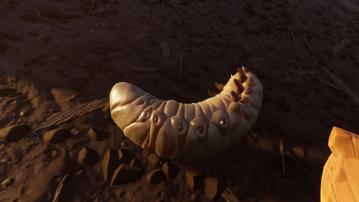 How To Get Grub Hide in Grounded (Grub Locations) | The Nerd Stash