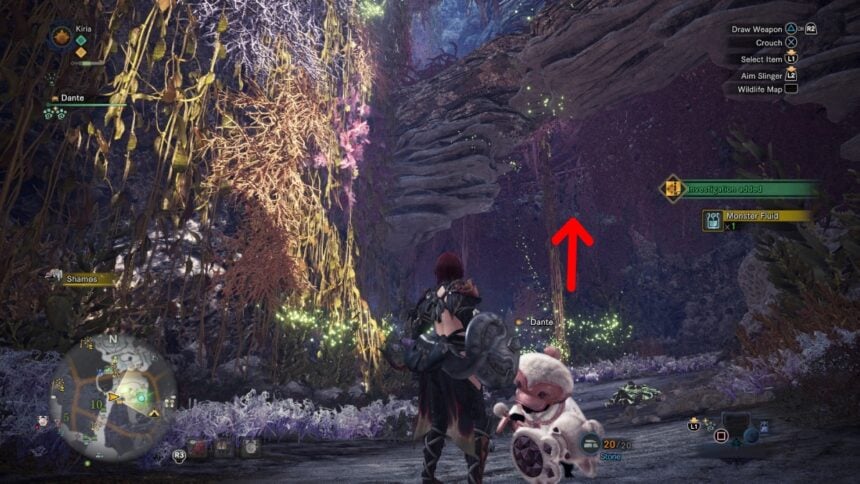 All Coral Highlands Camp Locations in Monster Hunter World | The Nerd Stash